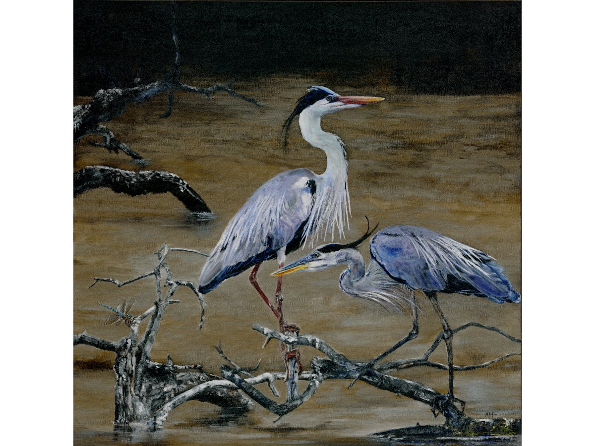 Grey Herons | Art by Anne